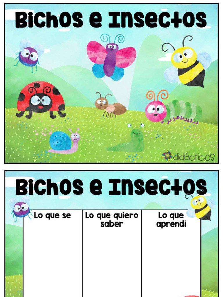 Actividades imprimibles BICHOS E INSECTOS | PDF