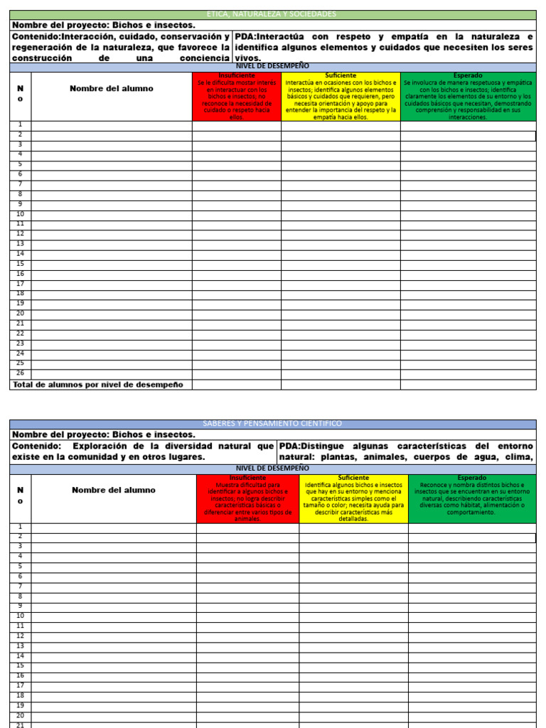 Rúbricas BICHOS E INSECTOS Tercero | PDF | Insectos | Naturaleza