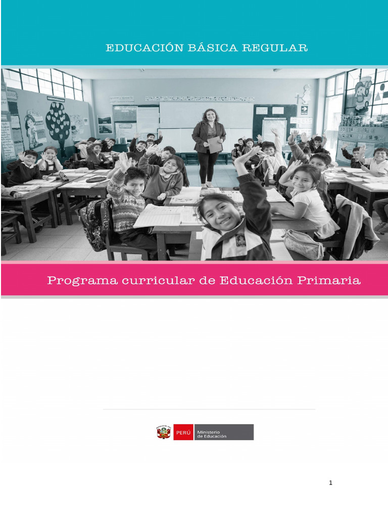 CNEB-Currículo Nacional de Educacion Primaria | PDF | Plan de estudios | Enseñando