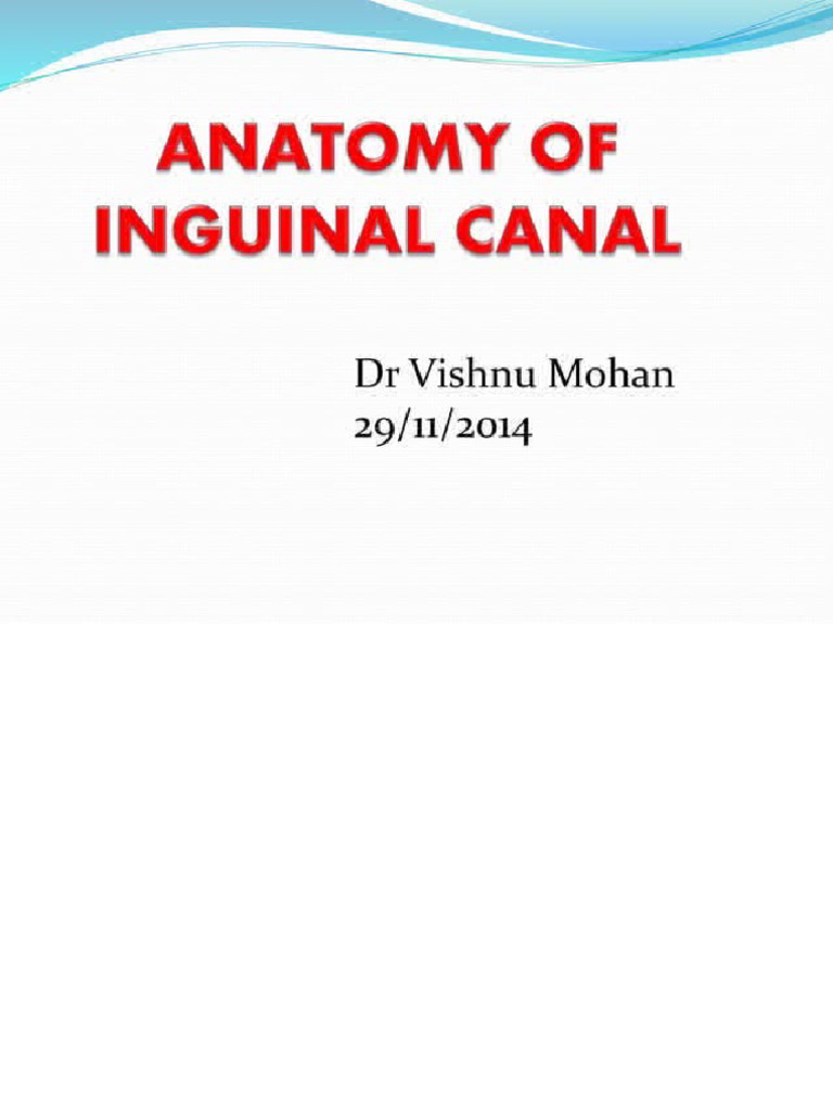 Surgical Anatomy Inguinal Canal Anatomy Drvishnu | PDF