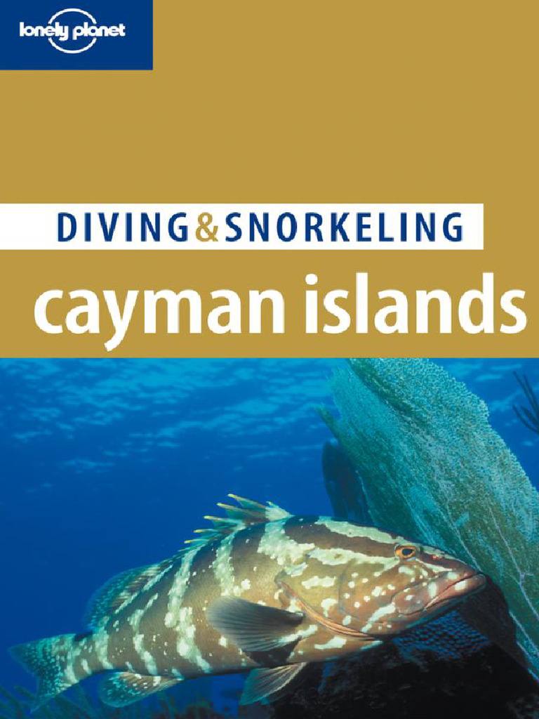 Dive Map Little Cayman Island & Reef Guide - Waterproof Fish ID Card ...