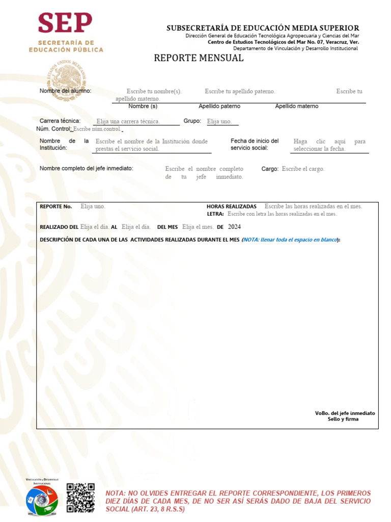 Reporte Mensual de Servicio Social | PDF