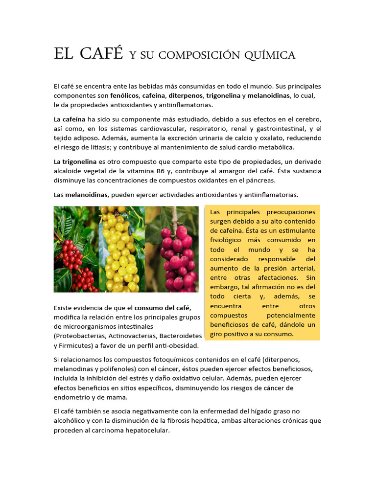 Composición química del café y sus efectos | PDF | café | Cafeína