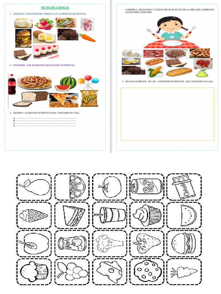 Ficha Alimentos Saludables y No Saludables | PDF