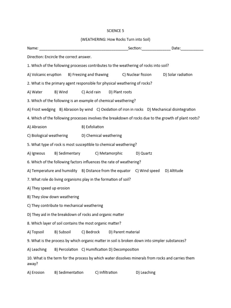 SCIENCE 5 Activity Sheet | PDF | Law | Science & Mathematics