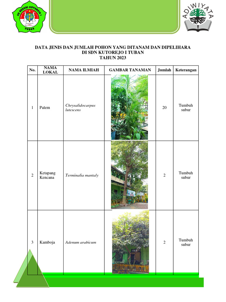 Data Pohon SDN Kutorejo I Tuban 2023 | PDF