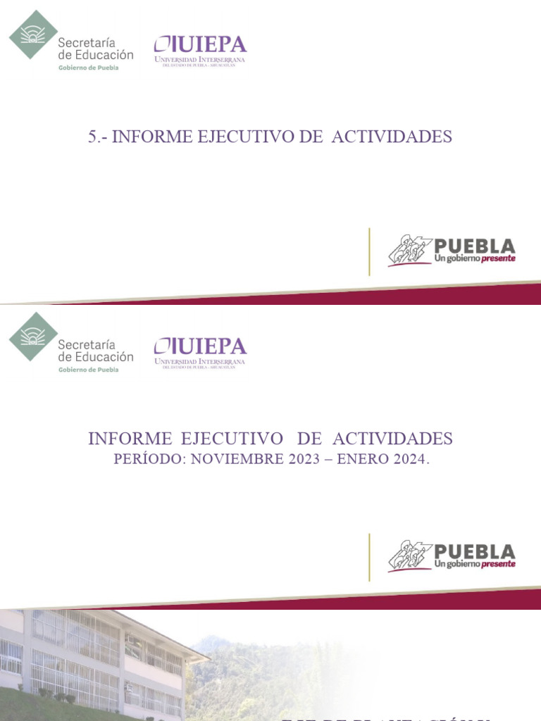 1.-Informe Ejecutivo de Actividades Trimestral Final - Dpe | PDF