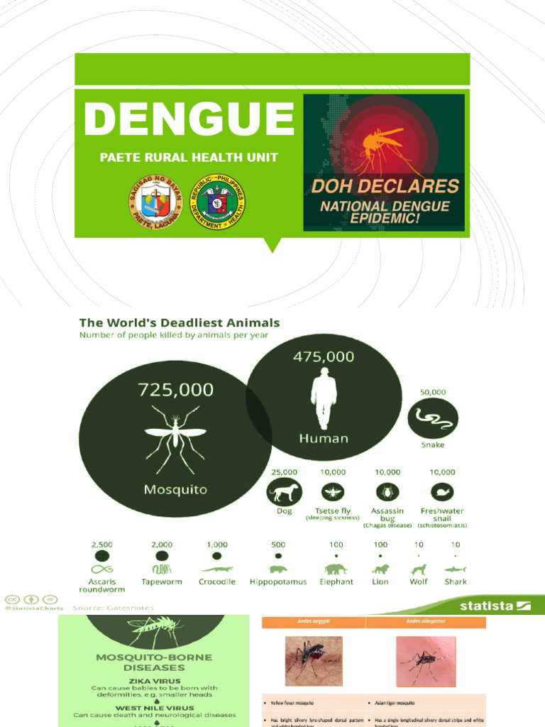 Paete Rhu Dengue Lecture | PDF