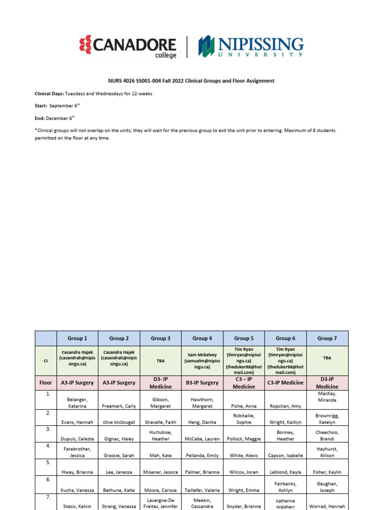 Clinical Groups 4026 Fall 2022 | PDF