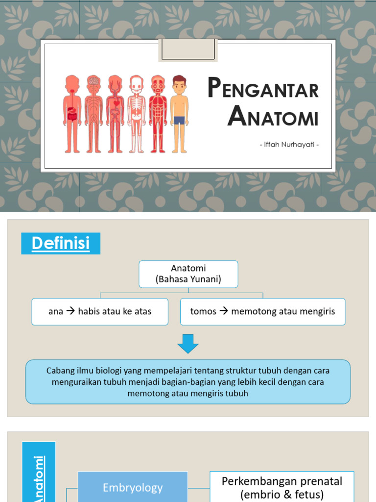 Pengantar Anatomi | PDF | Kesehatan Holistik | Pengembangan Diri