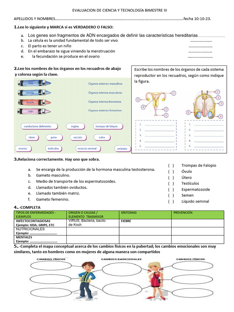 Evaluacion - de Cyt Iii - Bimestre | PDF | Semen | Reproducción