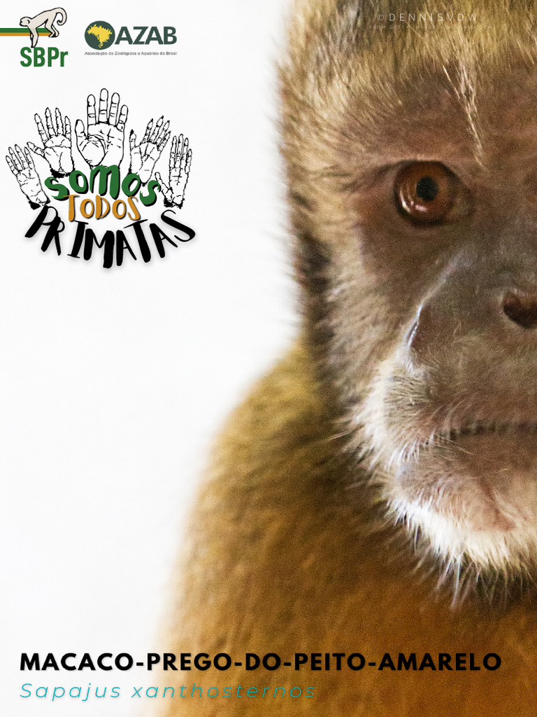 Cartilha Macaco-Prego-do-Peito-Amarelo | PDF