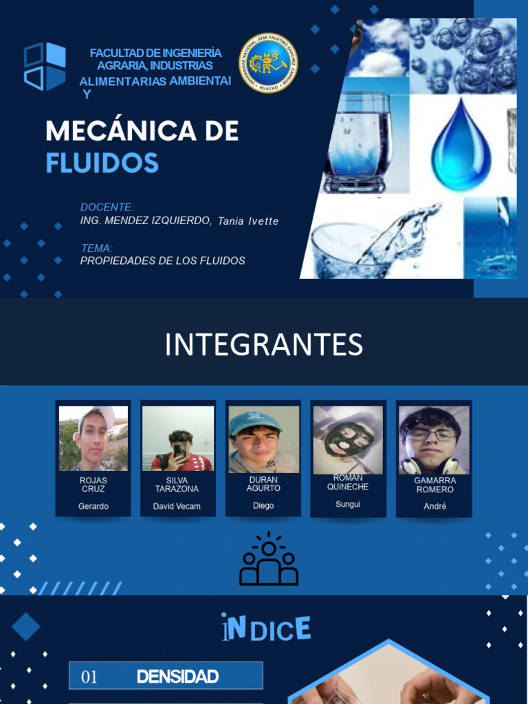 Propiedades de Los Fluidos | PDF | Densidad | Agua