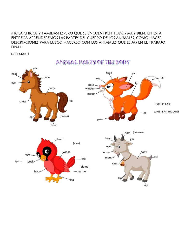 ANIMALS, physical description, abilities | PDF
