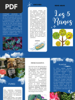 Analisis de Fenomenos y Procesos Biologicos | PDF | Organismos | Biología