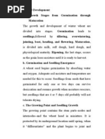 1 - Growth Stages of The Rice Plant | PDF | Germination | Root