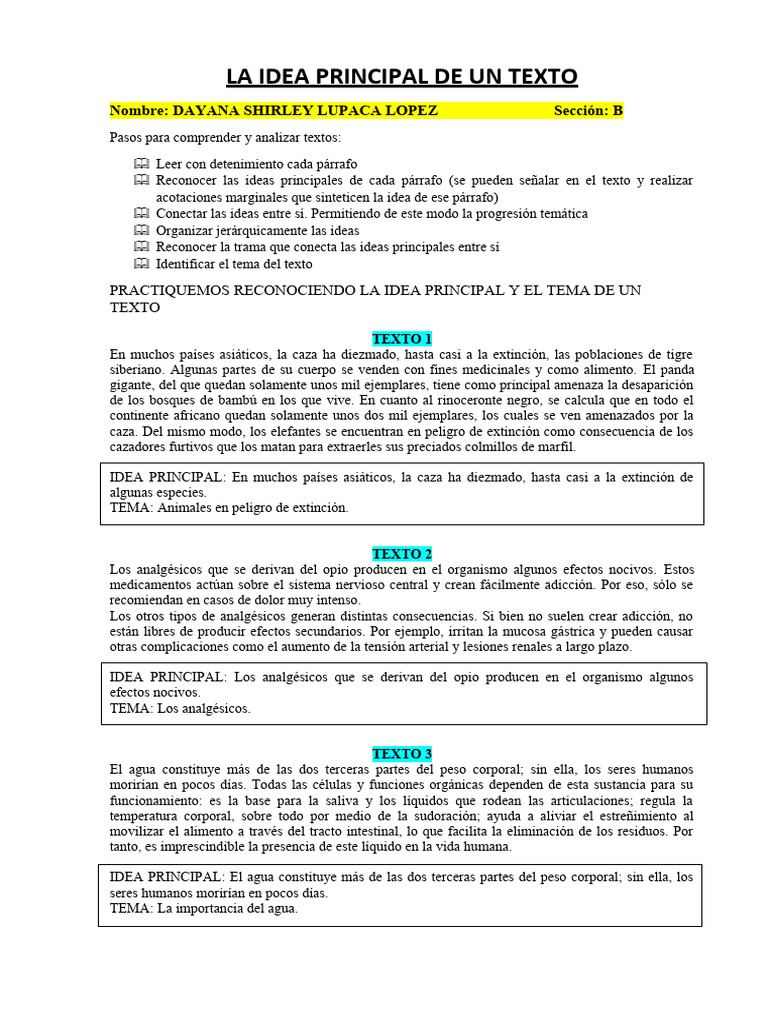 La Idea Principal de Un Texto | PDF | Videojuegos | Nintendo