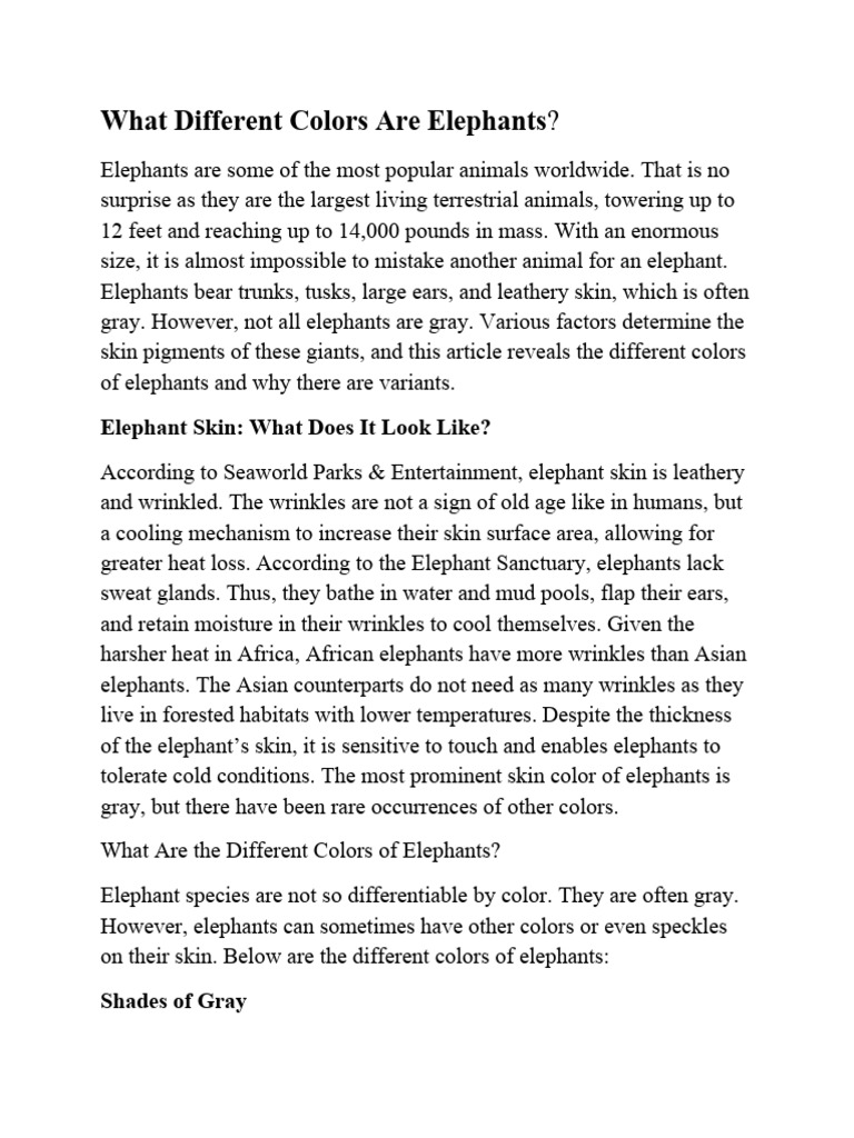 Colors of Elephants Explained | PDF | Elephant | Zoology