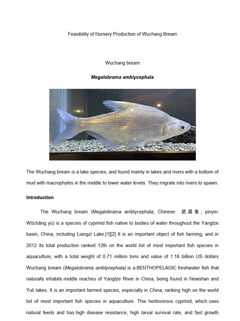 Wuchang bream | PDF | Metabolomics | Spawn (Biology)