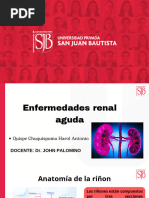 Oliguria y Anuria: Definición y Causas | PDF | Riñón | Especialidades ...