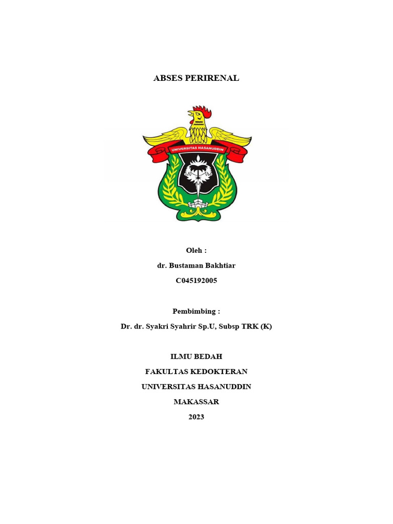 Abses Perirenal | PDF