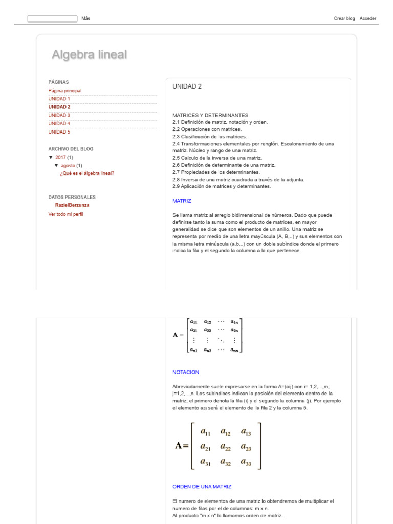 Algebra Lineal - UNIDAD 2 | PDF | Matriz (Matemáticas) | Determinante