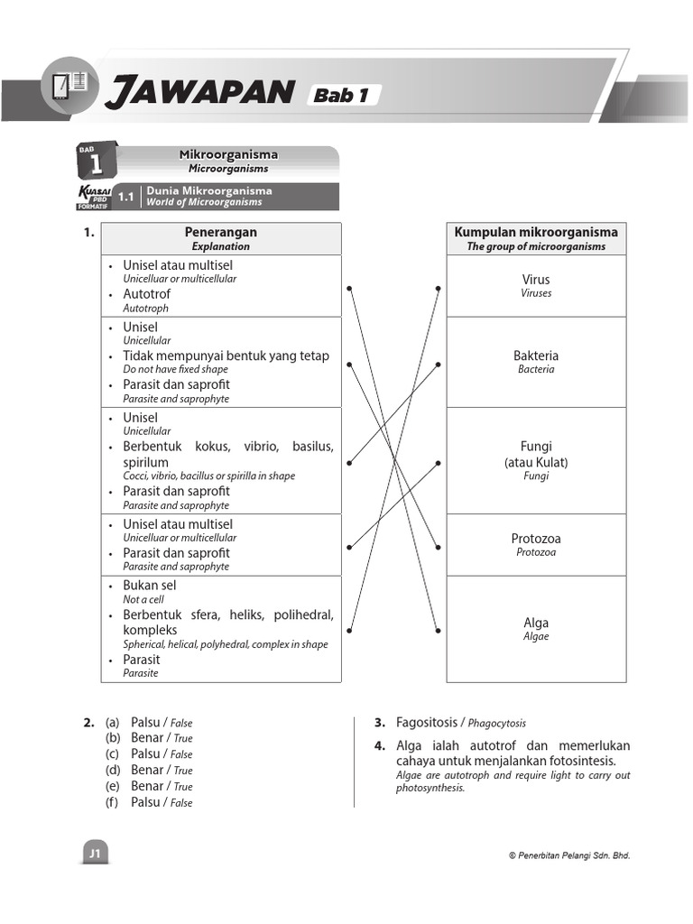 Jawapan Sains | PDF