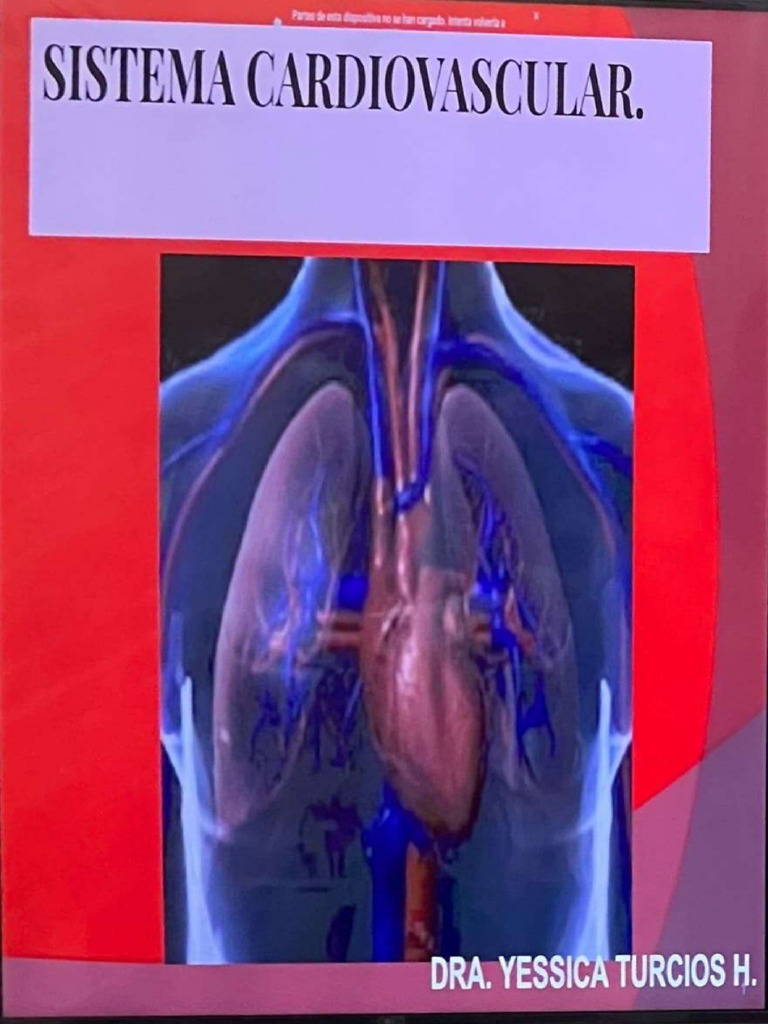 Cardio Texto Descargar Gratis Pdf Corazón Sistema Linfático