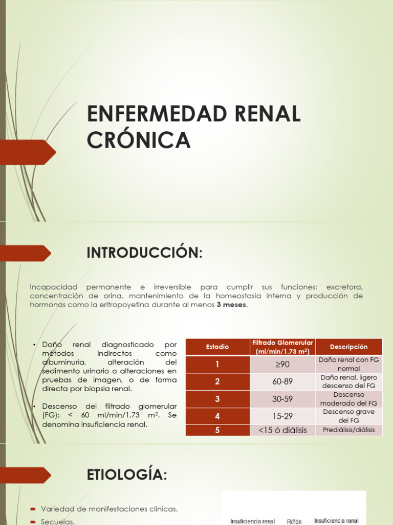 Irc 1 | PDF | Riñón | Medicina