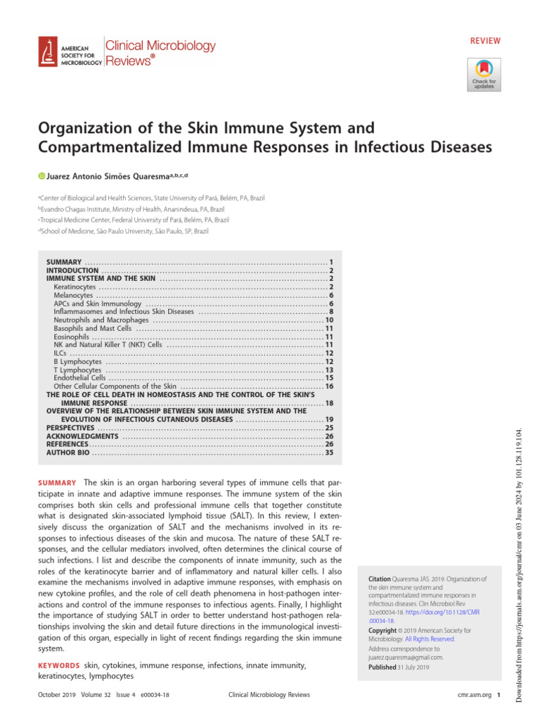 Quaresma 2019 Organization of The Skin Immune System and ...
