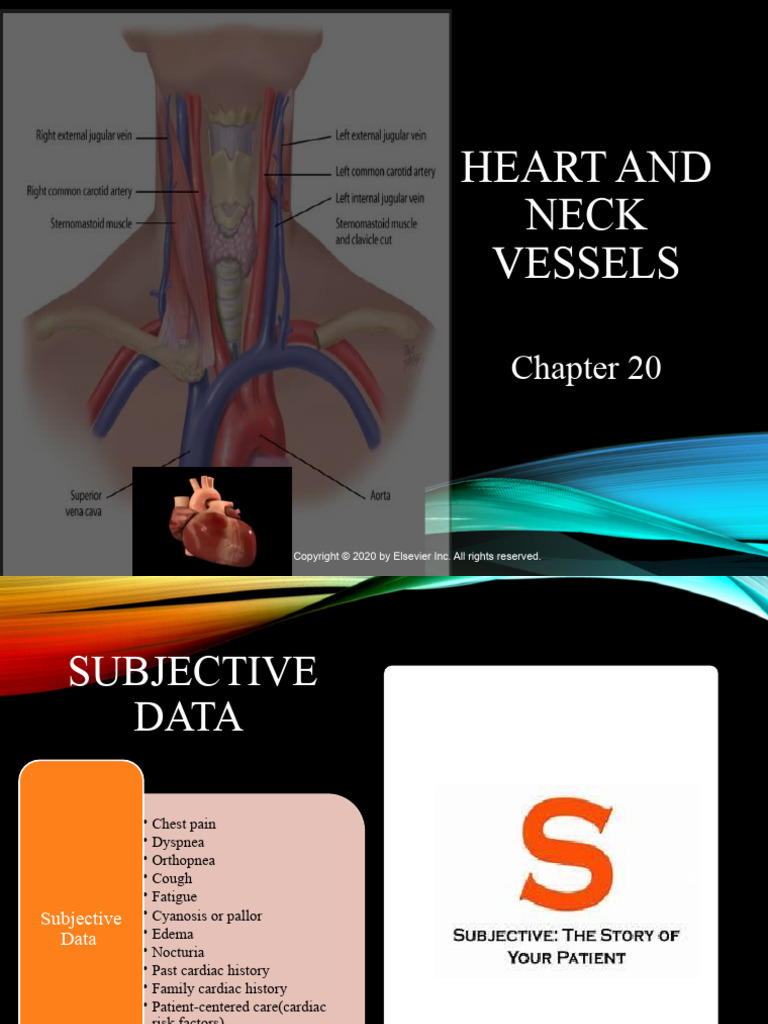 Cardio Pdf Heart Heart Valve
