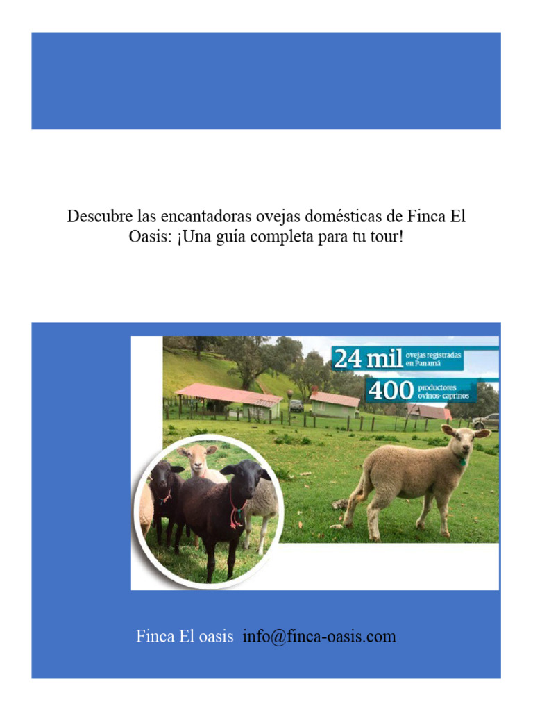 Ovejas | PDF | Oveja | Tecnología de reproducción asistida