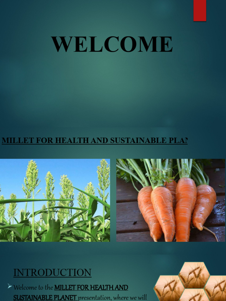 Millets: A Sustainable Superfood Guide | PDF | Agriculture | Cereals