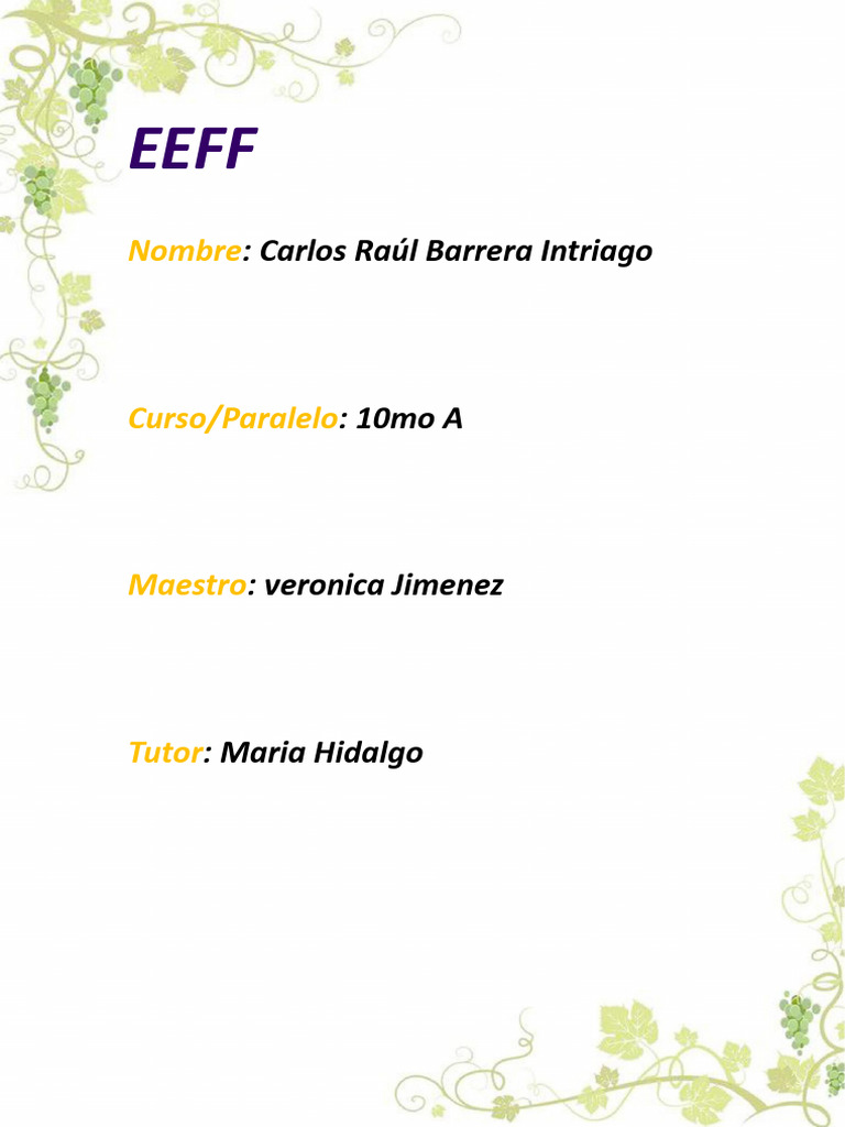 Eeff Caratula | PDF