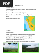 Selva Alta o Rupa Rupa | PDF