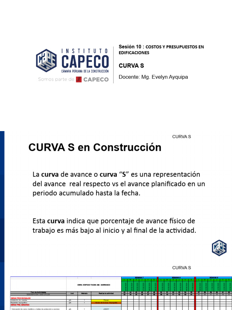 Sesion 10 - Curva S | PDF