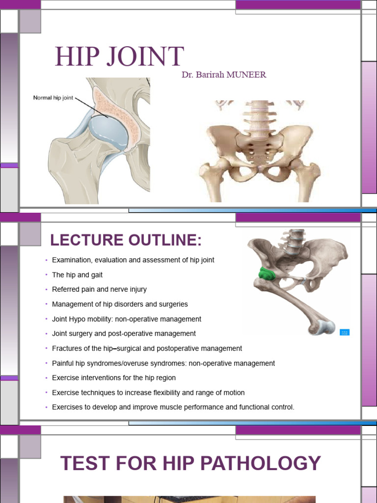 Hip Joint Examination | Download Free PDF | Anatomical Terms Of Motion ...