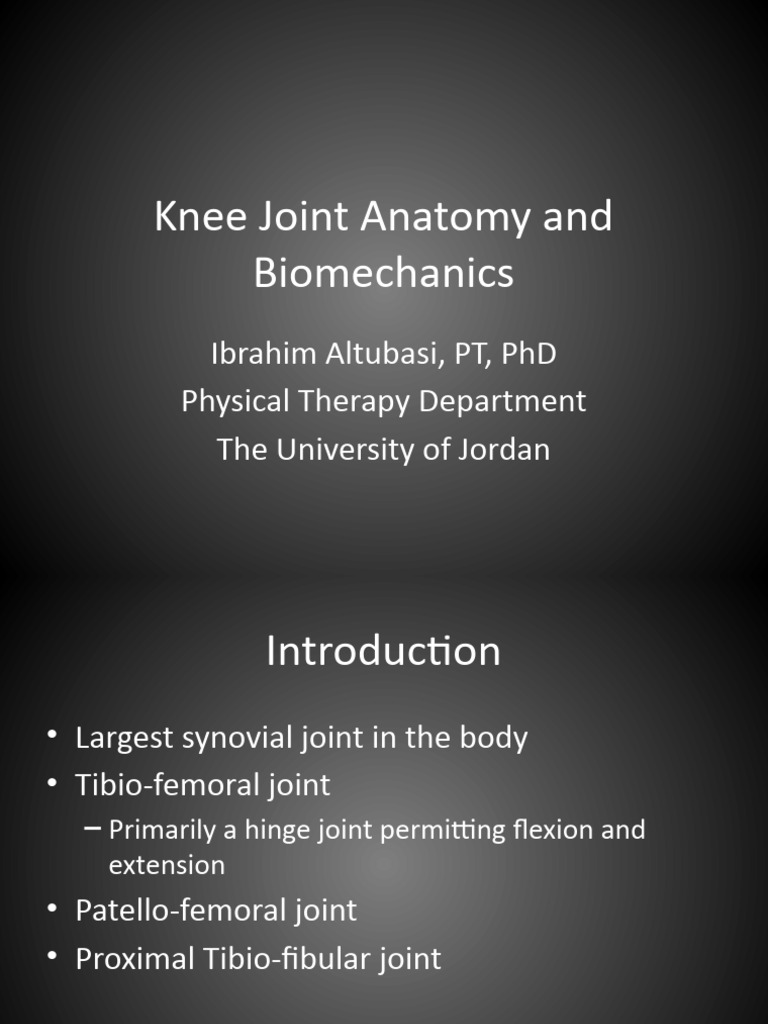Knee Joint Anatomy for PT Students | PDF | Knee | Soft Tissue