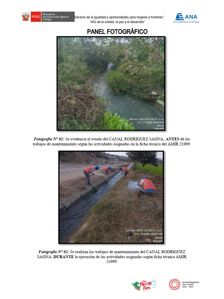 Rodriguez Saona | PDF | Viajes y turismo