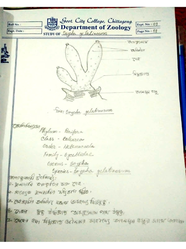 HSC Zoology Practical | PDF