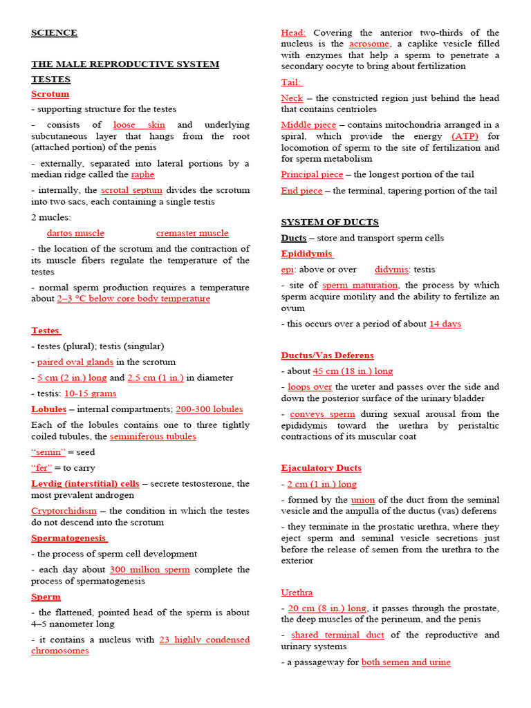 3RD Quarter - Science Reviewer | PDF | Dna | Rna