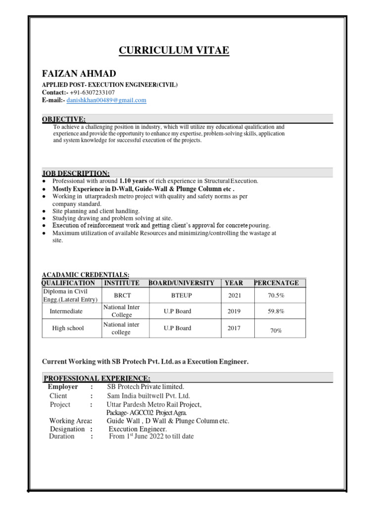 CURRICULUM VITAE FAIZAN AHMAD | PDF