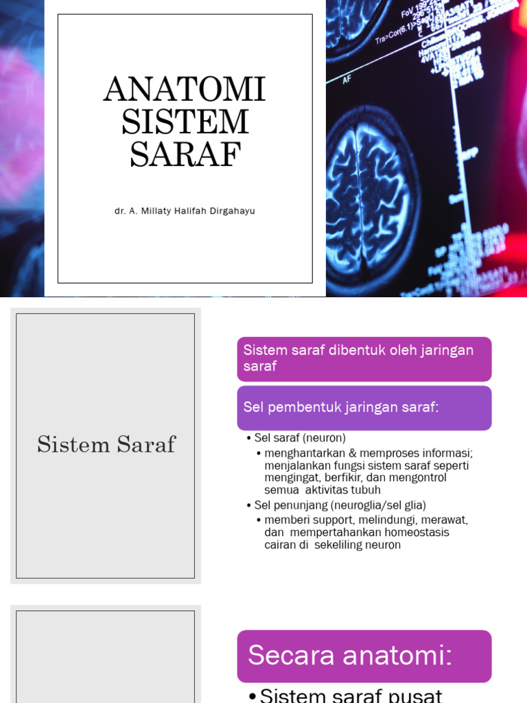 Sistem Saraf | PDF | Sains & Matematika