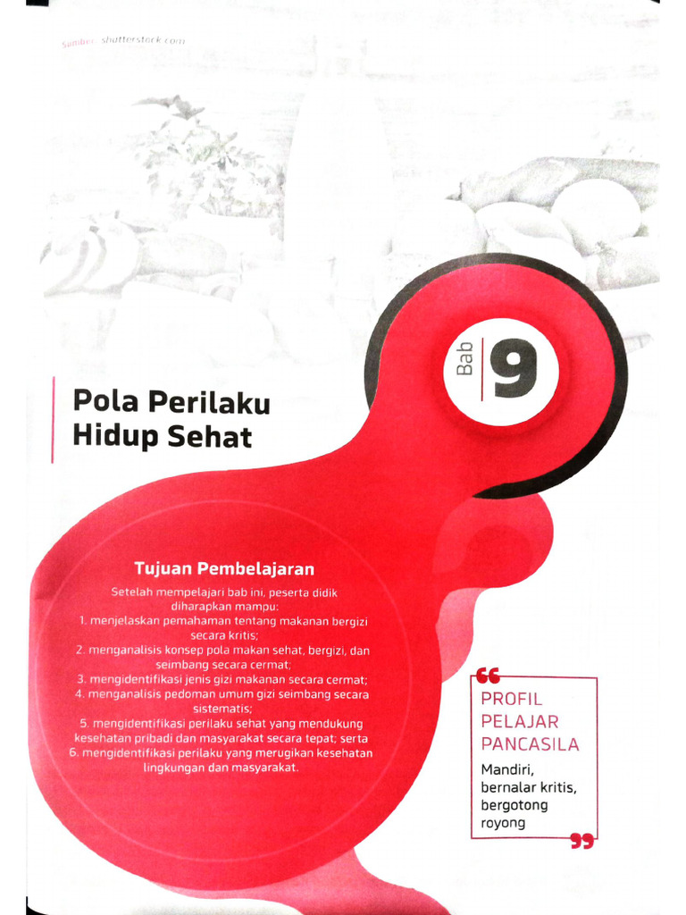 Pola Perilaku Hidup Sehat | PDF