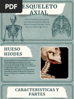Anatomía del Esternón y Sus Partes | PDF | Abdomen | Sistema esquelético