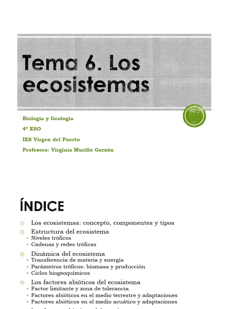 Temas 6 y 7 - Los Ecosistemas | PDF | Ecosistema | Red alimentaria