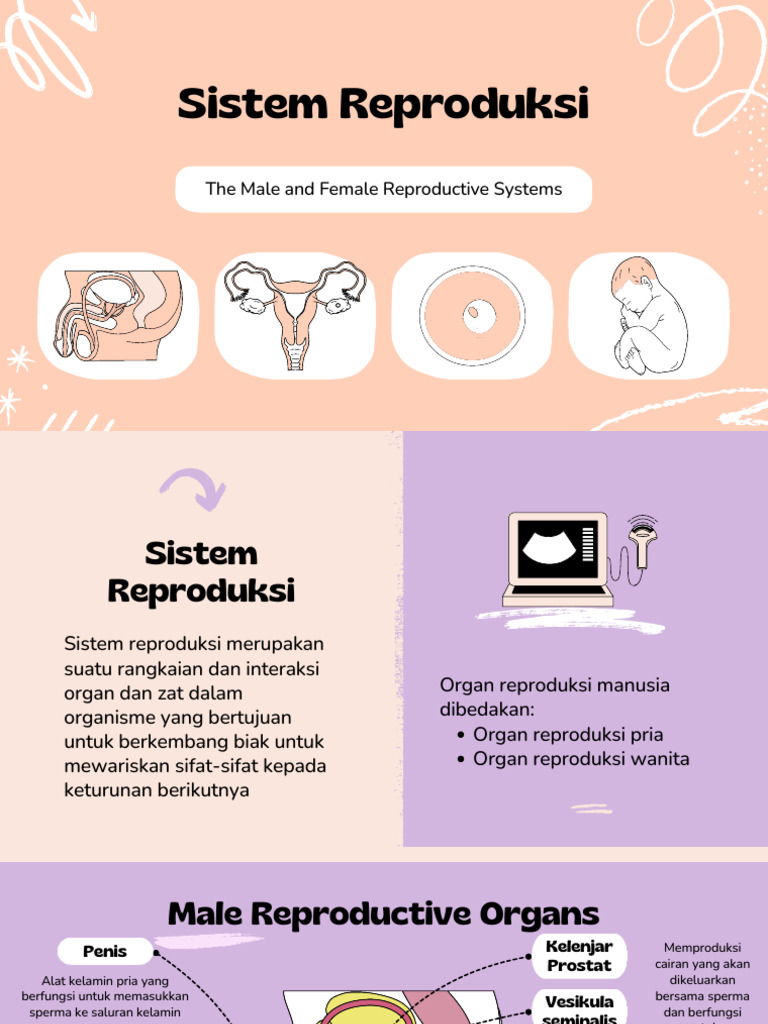 Sistem Reproduksi | PDF