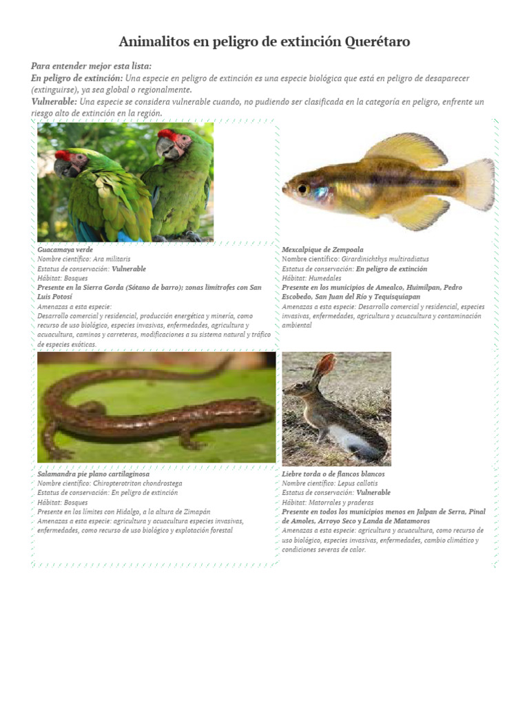 Animales En Peligro De Extinción En Querétaro Pdf Especie En