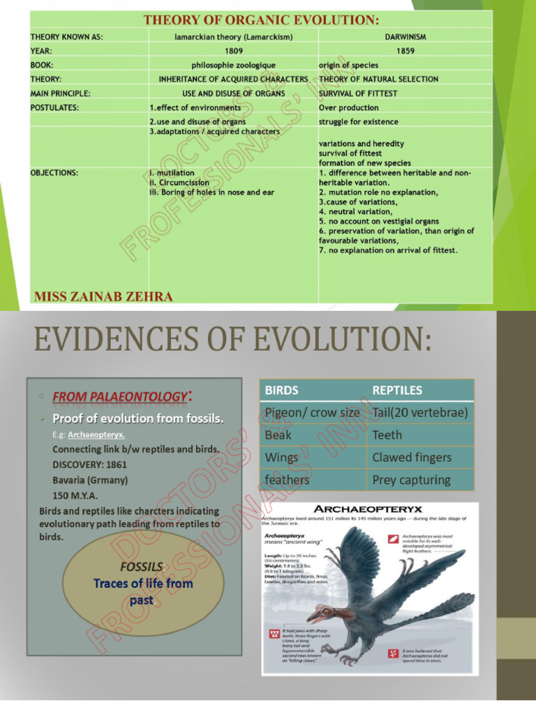 Bio Evolution | PDF