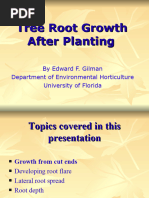V4 Trees Issue 2 Operatives Handout | PDF | Trees | Root